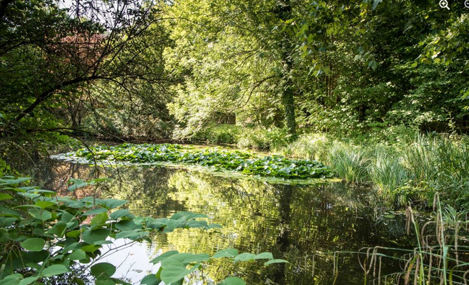 Visite de la cressonnière de Vaise - Bulles de gones