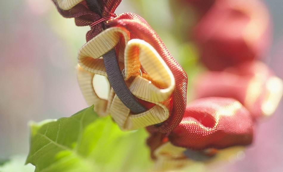 Masqu'en folie - Bulles de gones